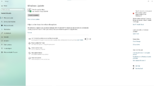 How to Check and Install Windows Updates (Windows 10 & 11)